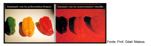 Ciências da Natureza